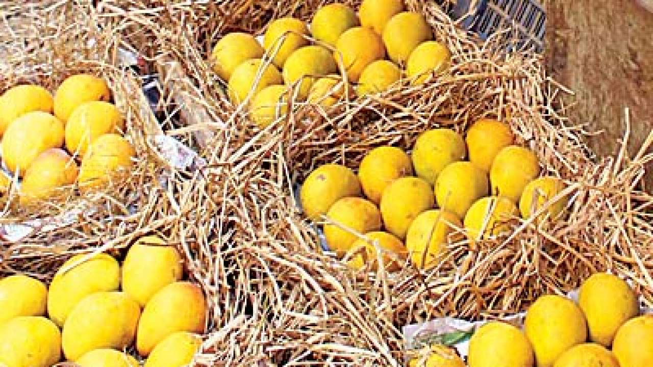 Fall in prices makes mangoes season's favourite