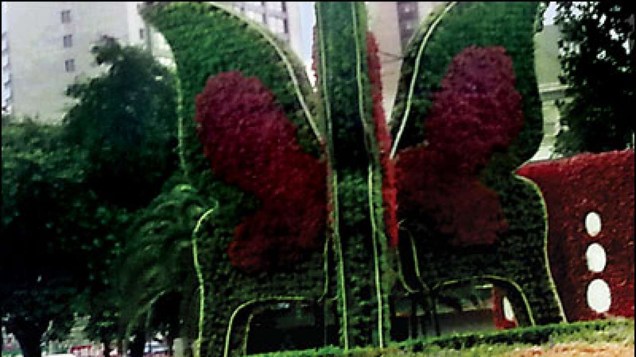 Shanghai-style butterfly garden to come up over Irla nullah