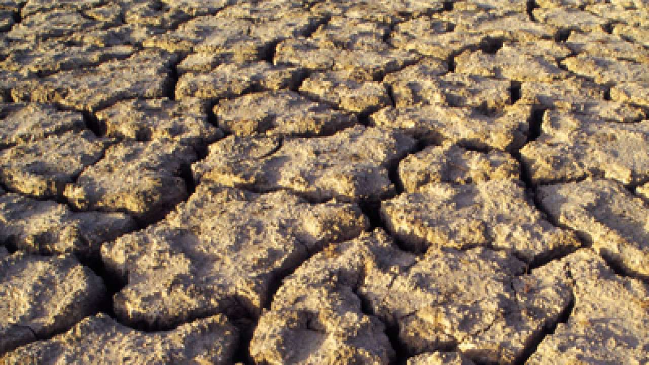 Inadequate rainfall adds to misery of farmers in Maharashtra