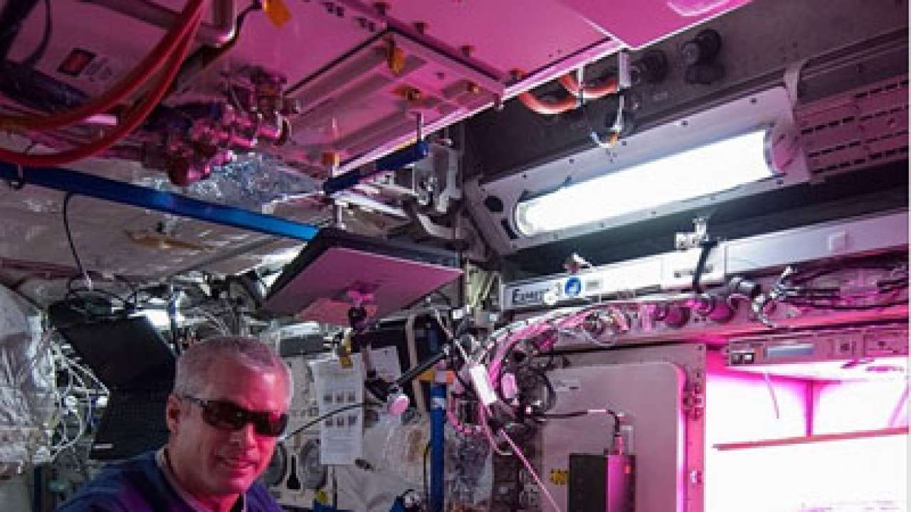 NASA experiments with growing vegetables in space