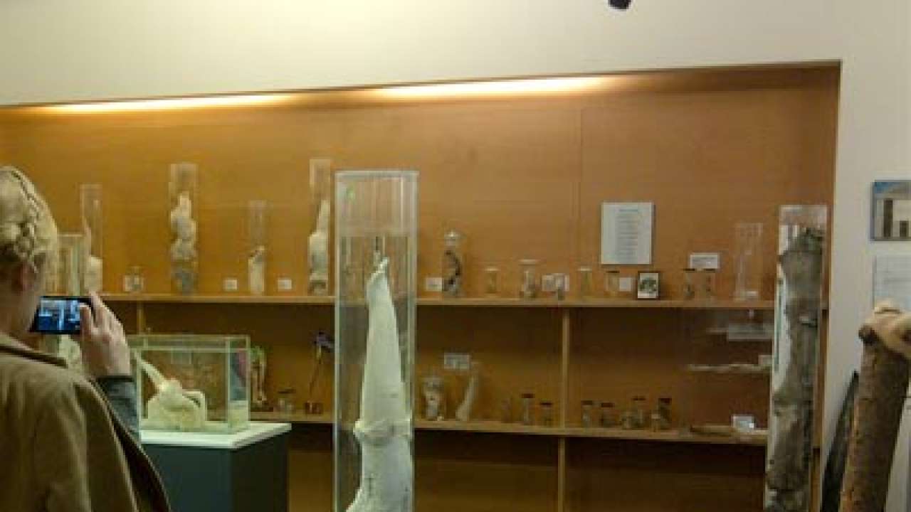 Delhi's museum of toilets on world's weirdest museums list
