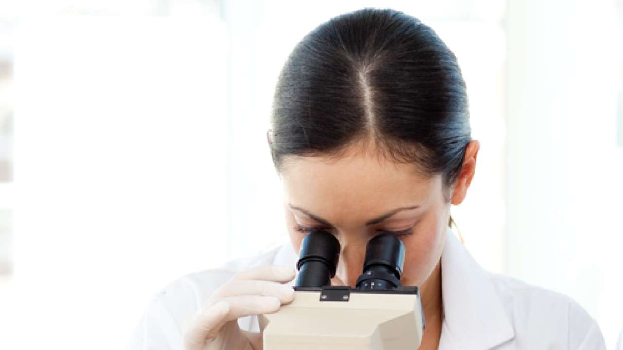 How do you study science?