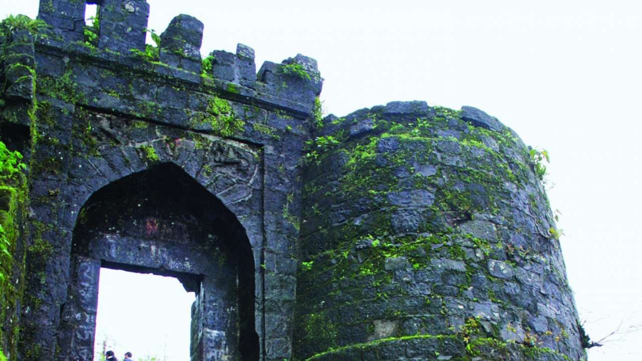 Pune Read this if you plan to visit Sinhagad fort this weekend