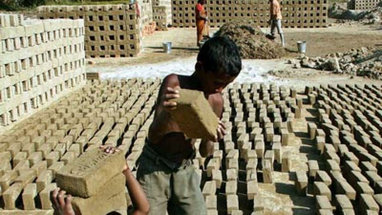 Over 75% of rescued child labourers go back to work