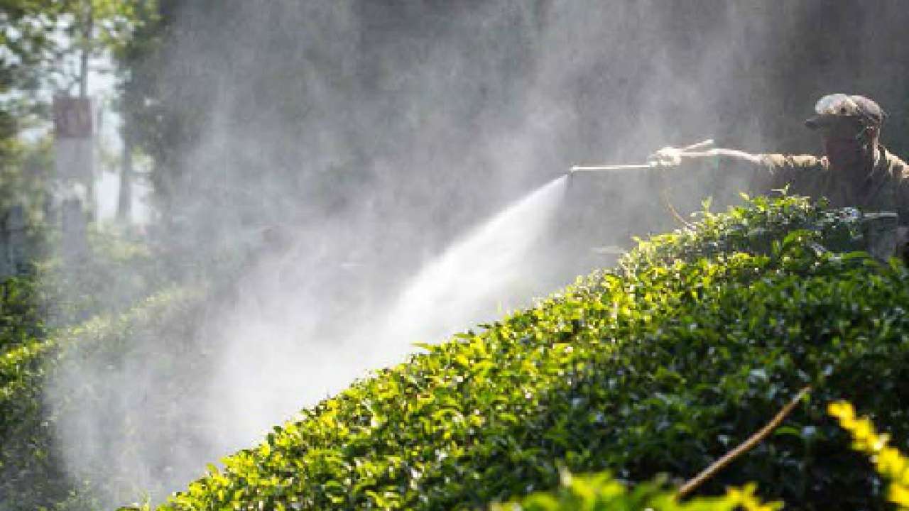 Tea Board of India, HUL respond to Greenpeace reports on pesticides in ...
