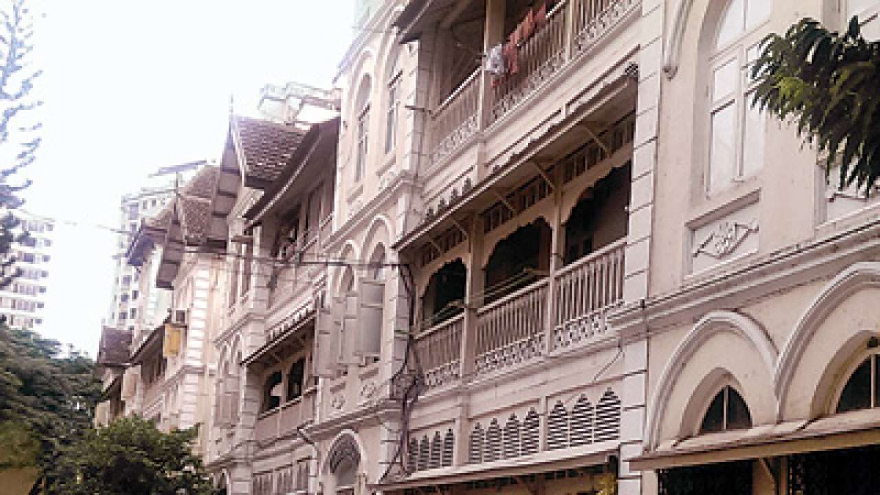 Springing forth from history