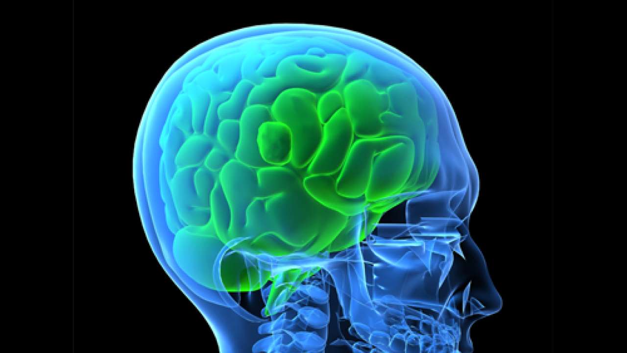 Brain dead man's organs donated