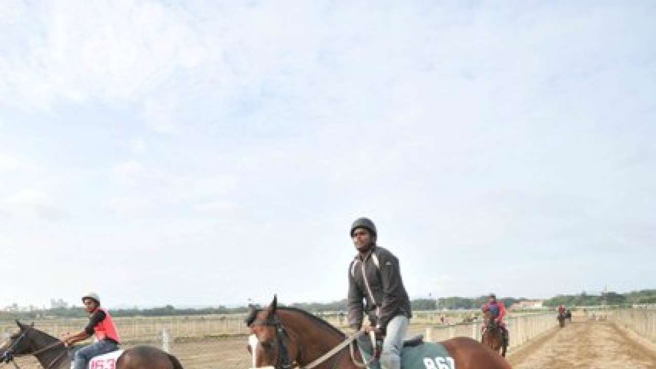 Asian Games: Indian women riders perform miserably at Equestrian event
