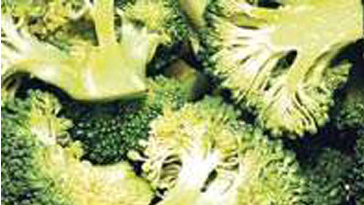 Chemical in broccoli improves symptoms of autism spectrum disorders ...