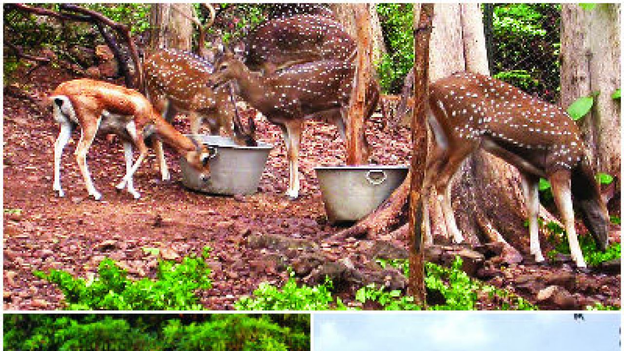 SGNP begins work on plan to increase lake level