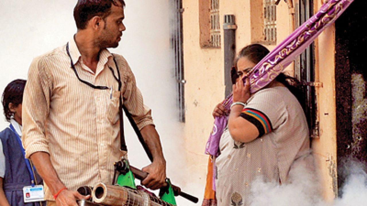 Dengue on its way out, say doctors