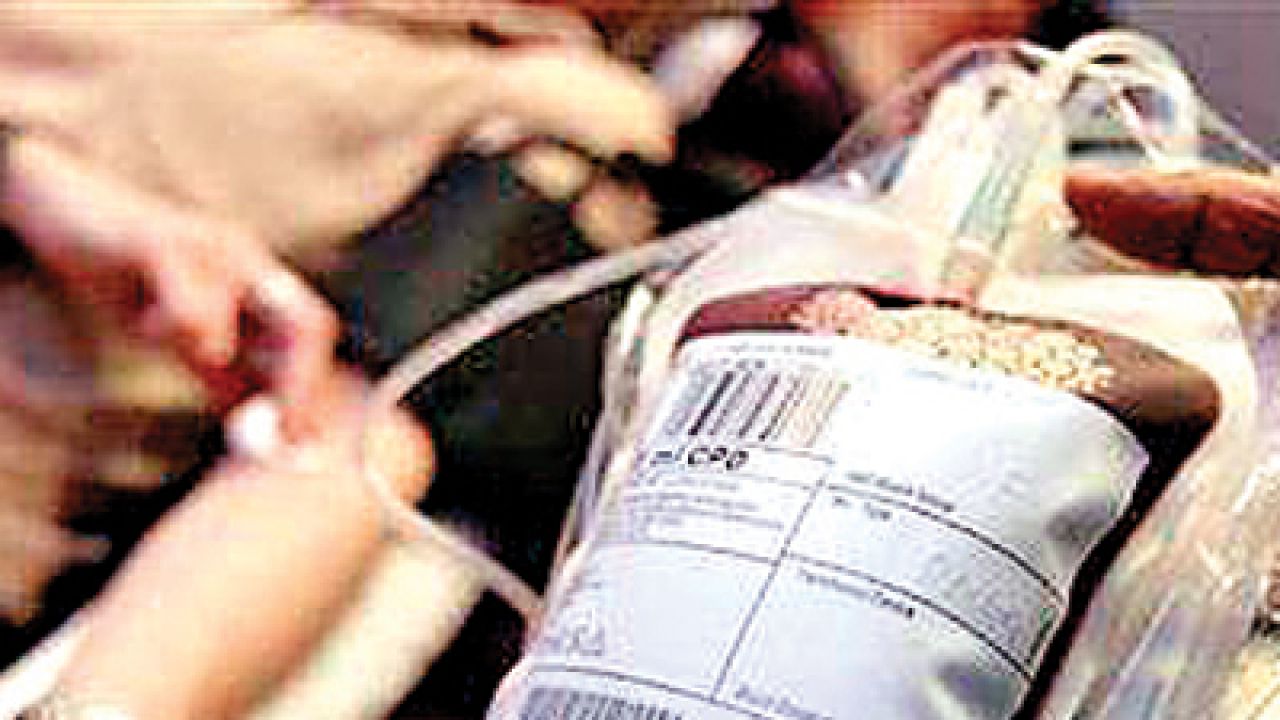 Bloody waste: that's 1 of every 4 bottles of blood at GT hospital