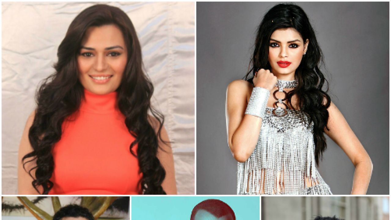 Bigg Boss 8: Sonali Raut, Praneet Bhatt, Upen Patel, Renee Dhyani and ...