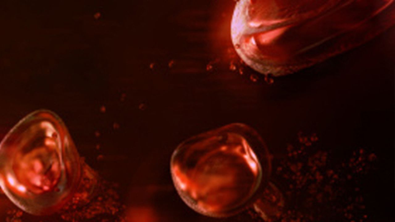New drug provides fresh hope for leukemia patients