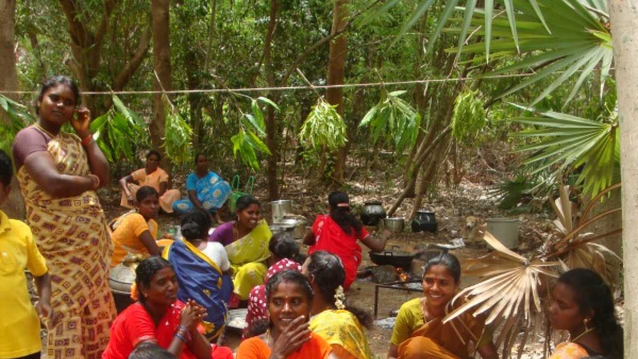 Seeds of hope: The story of Irula women and their empowerment