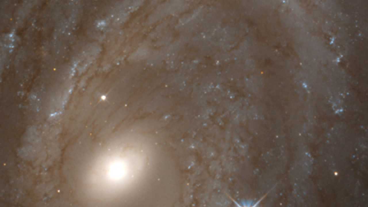 An alternate view of how the evolution of life came to be on Earth