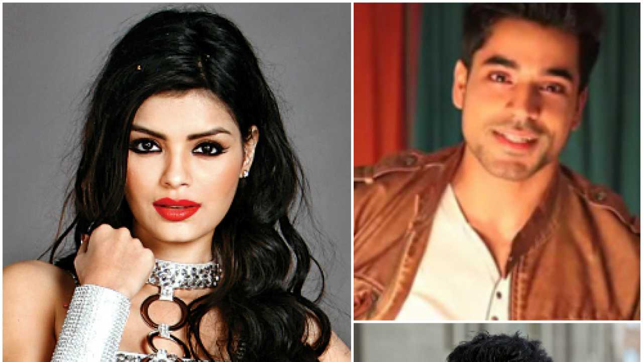 Bigg Boss 8 Sonali Raut Admits Using Gautam Gulati And Upen Patel To