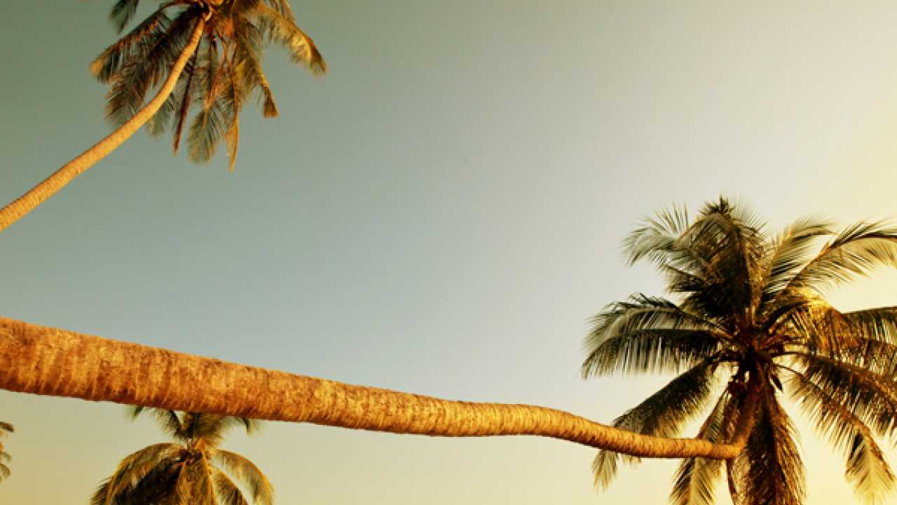 Spend four days in Andaman, it's heaven