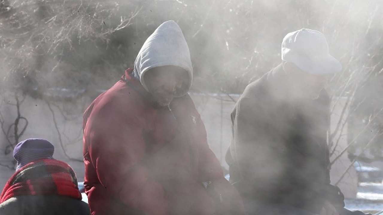 Record-breaking cold closes US schools, sends penguins inside