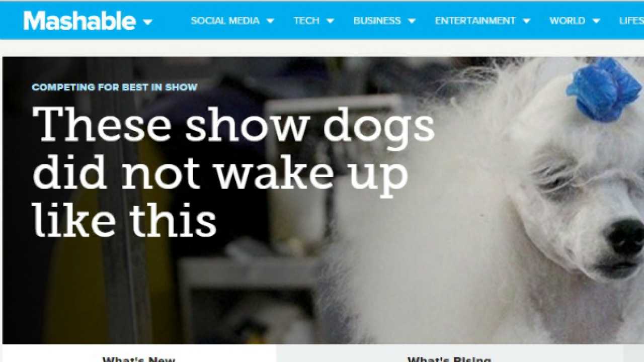 Mashable to launch India-specific portal in partnership with India.com