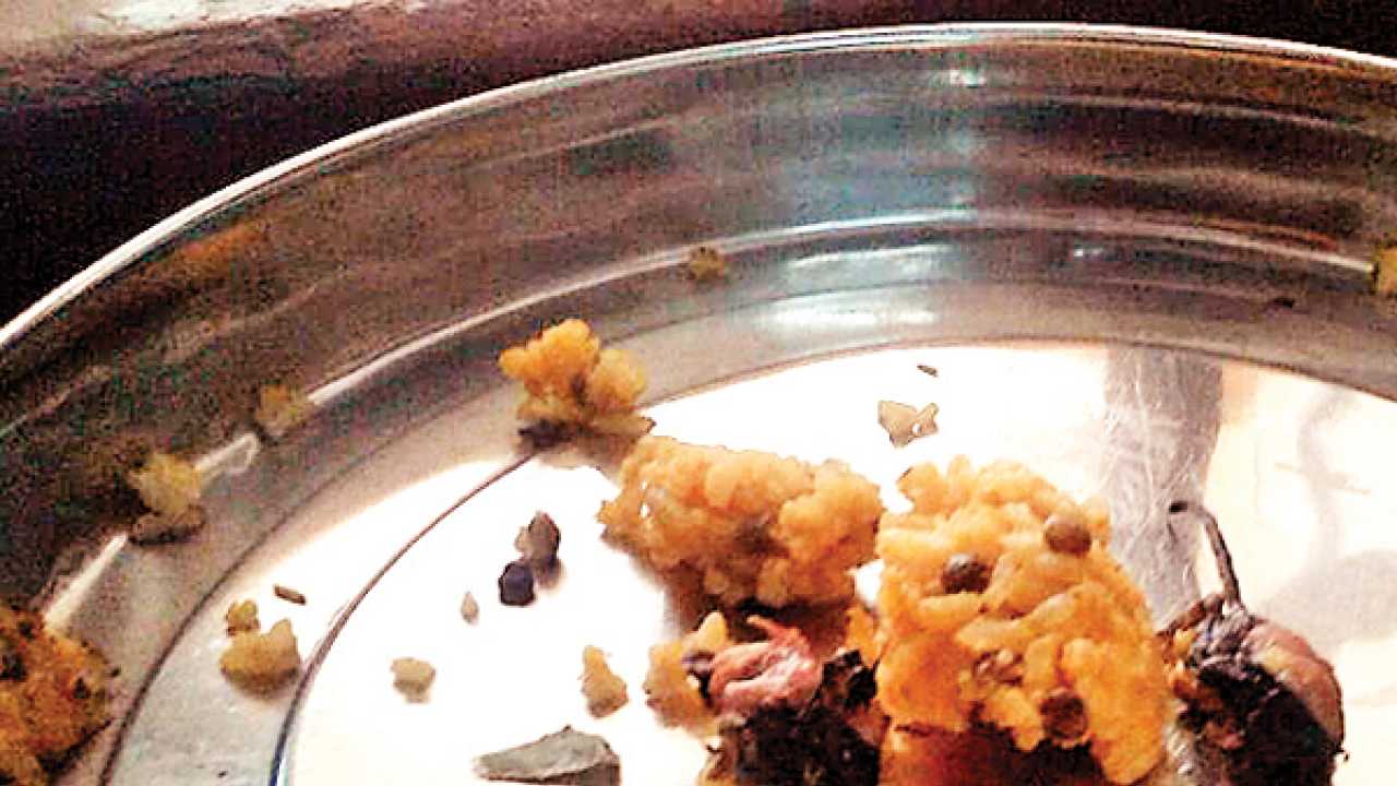 Dead rats found in midday meal at Chembur school