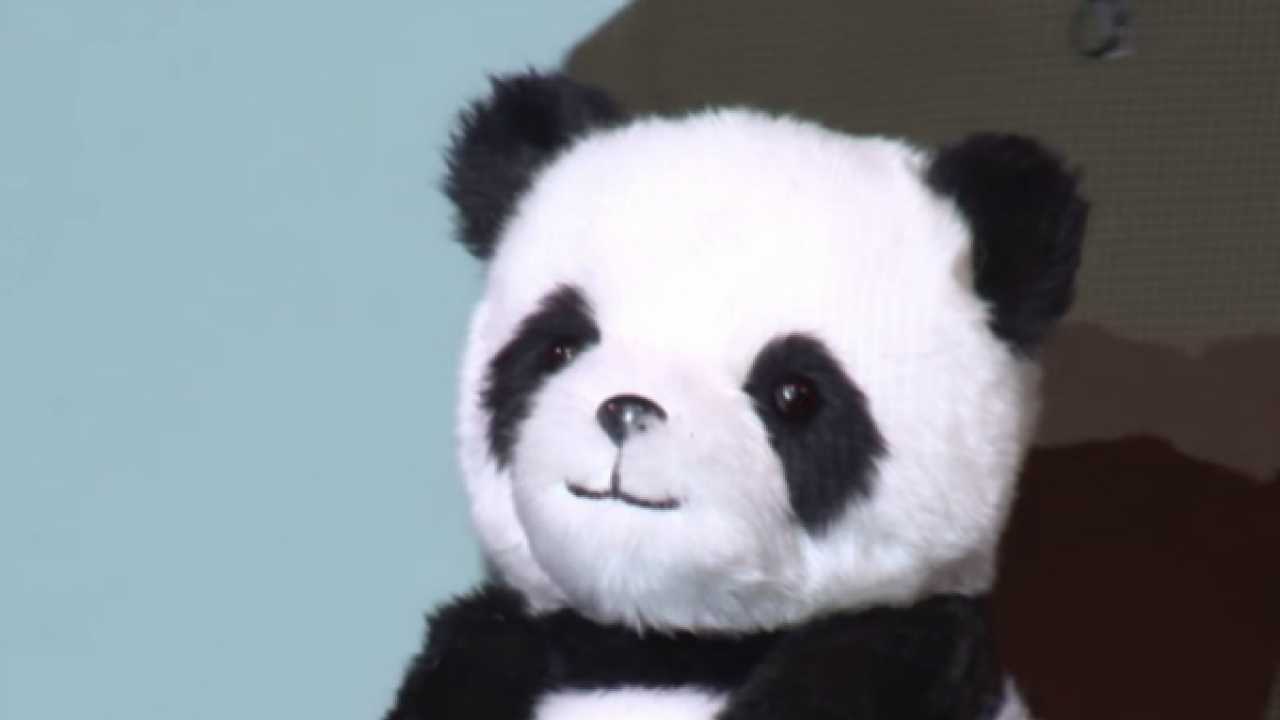 Google takes the world: A variety of products announced on April 1