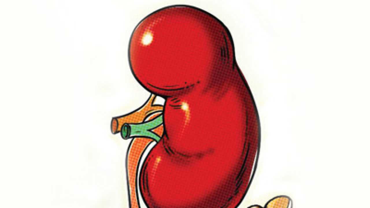 India's 3rd domino kidney transplant to take place in Mumbai