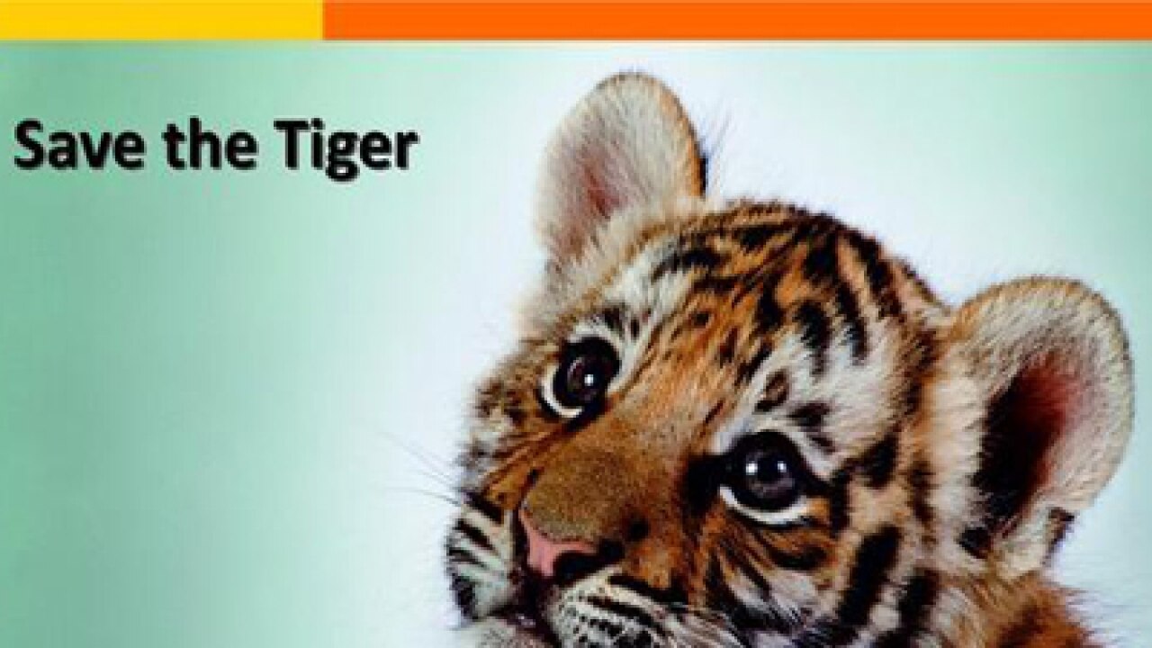 #SaveOurTigers trends on Twitter on the occasion of World Tiger Day