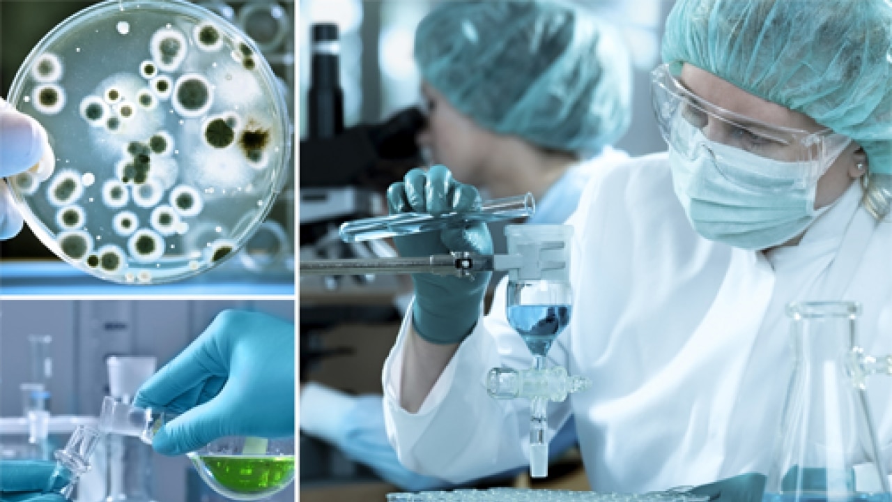 IIT Madras launches incubation cell for biotechnology start-ups