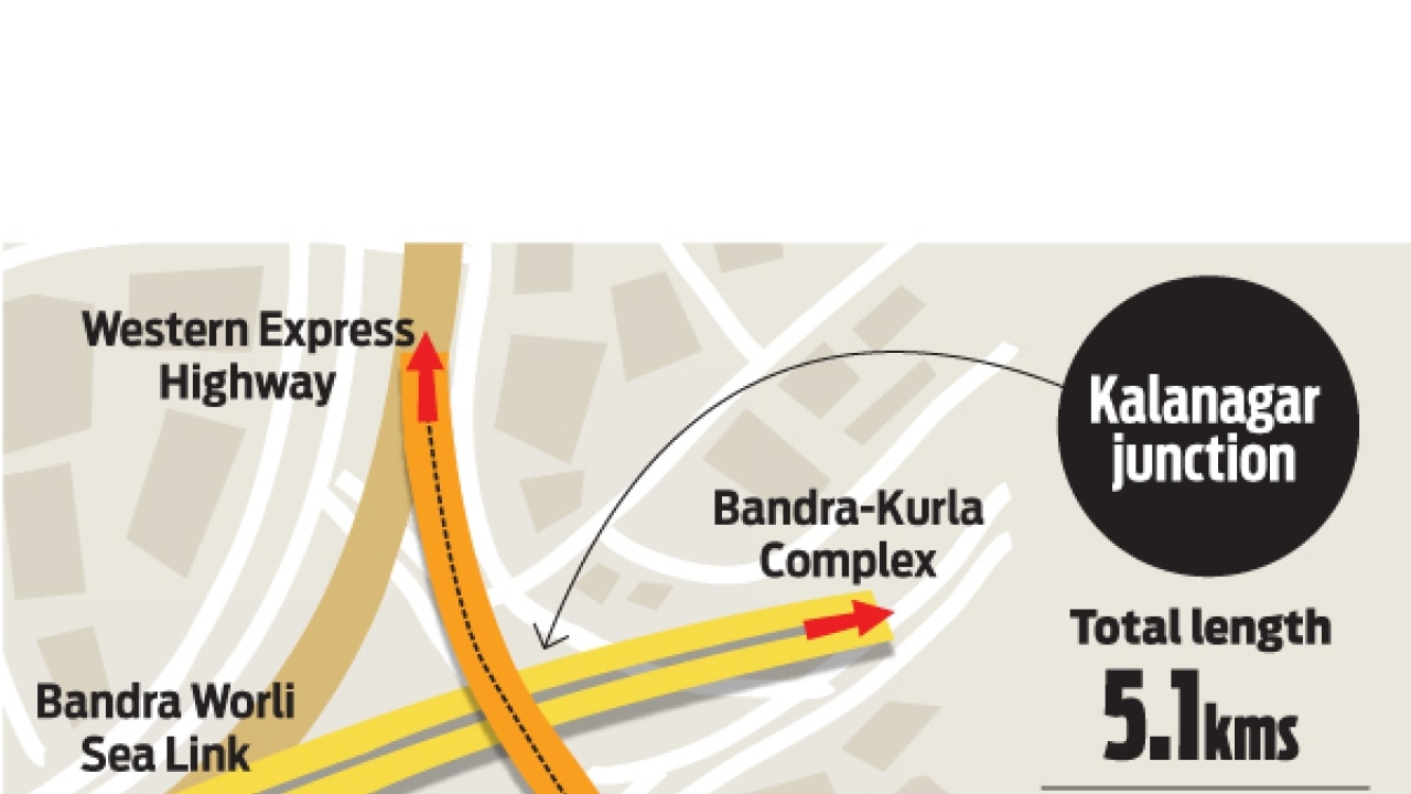 3 mangroves stand in way of flyovers at Kalanagar Junction