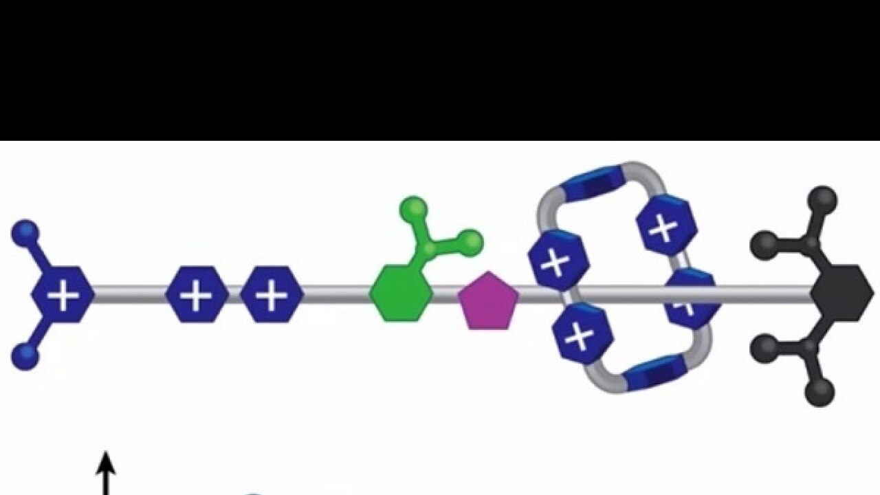 World's first artificial molecular pump developed