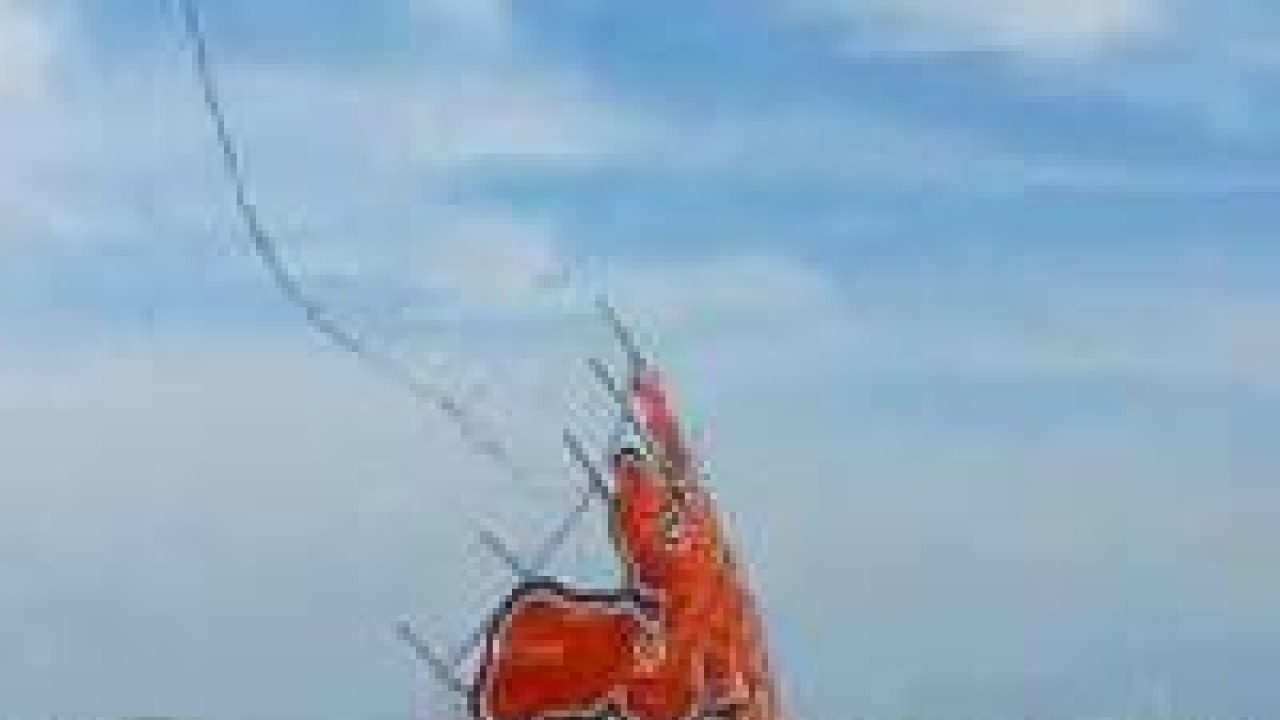 700-kg kite crashes into crowd in Japan, 4 injured