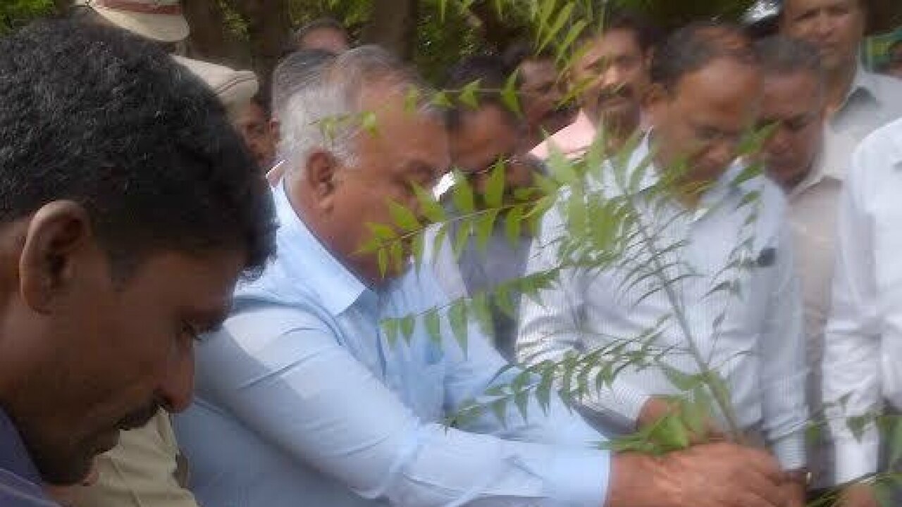 ‘Plant saplings, but wisely,’ says Karnataka Transport Minister on ...