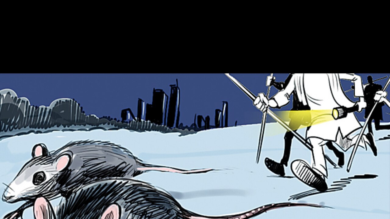 Mahim residents team up with BMC to tackle rat infestation