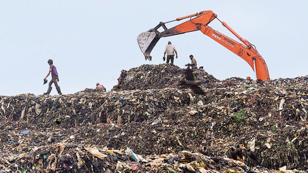 Waste not, want not: On garbage segregation