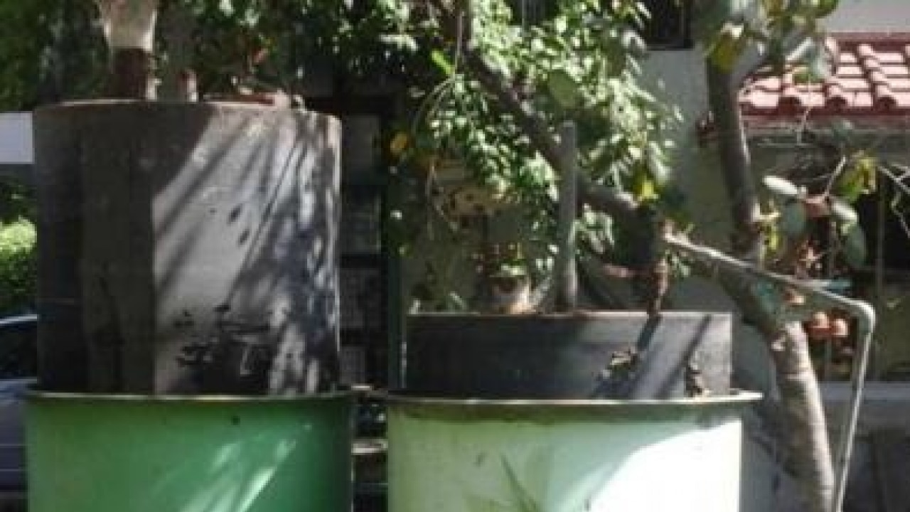 Install a biogas plant at home and save one LPG cylinder every month