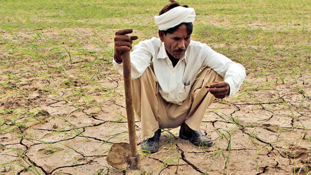 Maharashtra government gives nod to open fodder camps in parched Marathwada Maharashtra government gives nod to open fodder camps in parched Marathwada
