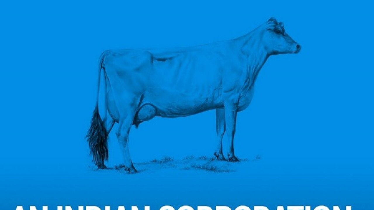 Not a moo point: The 'two-cow theory' that explains world economy