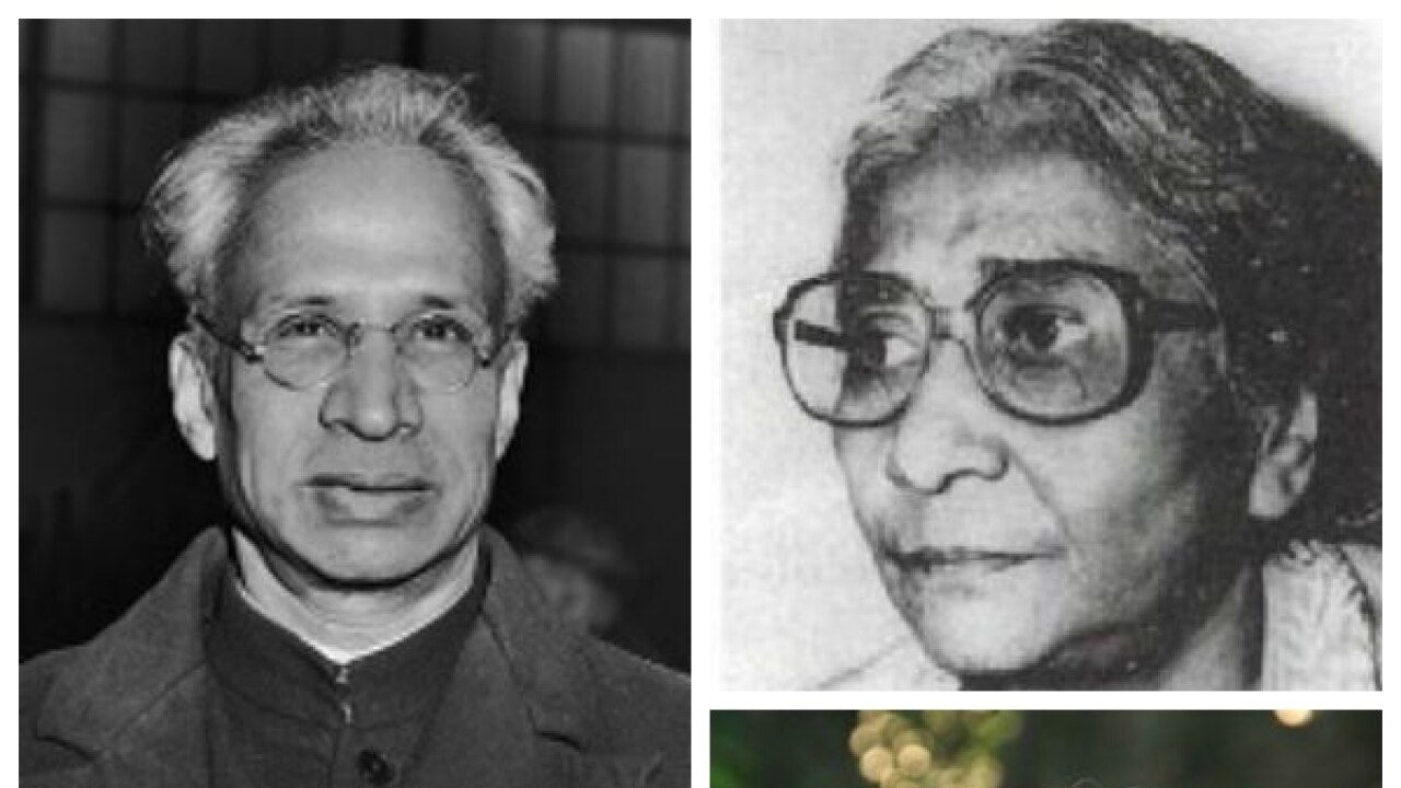 Teachers' Day: Famous Indian teachers that shaped our country