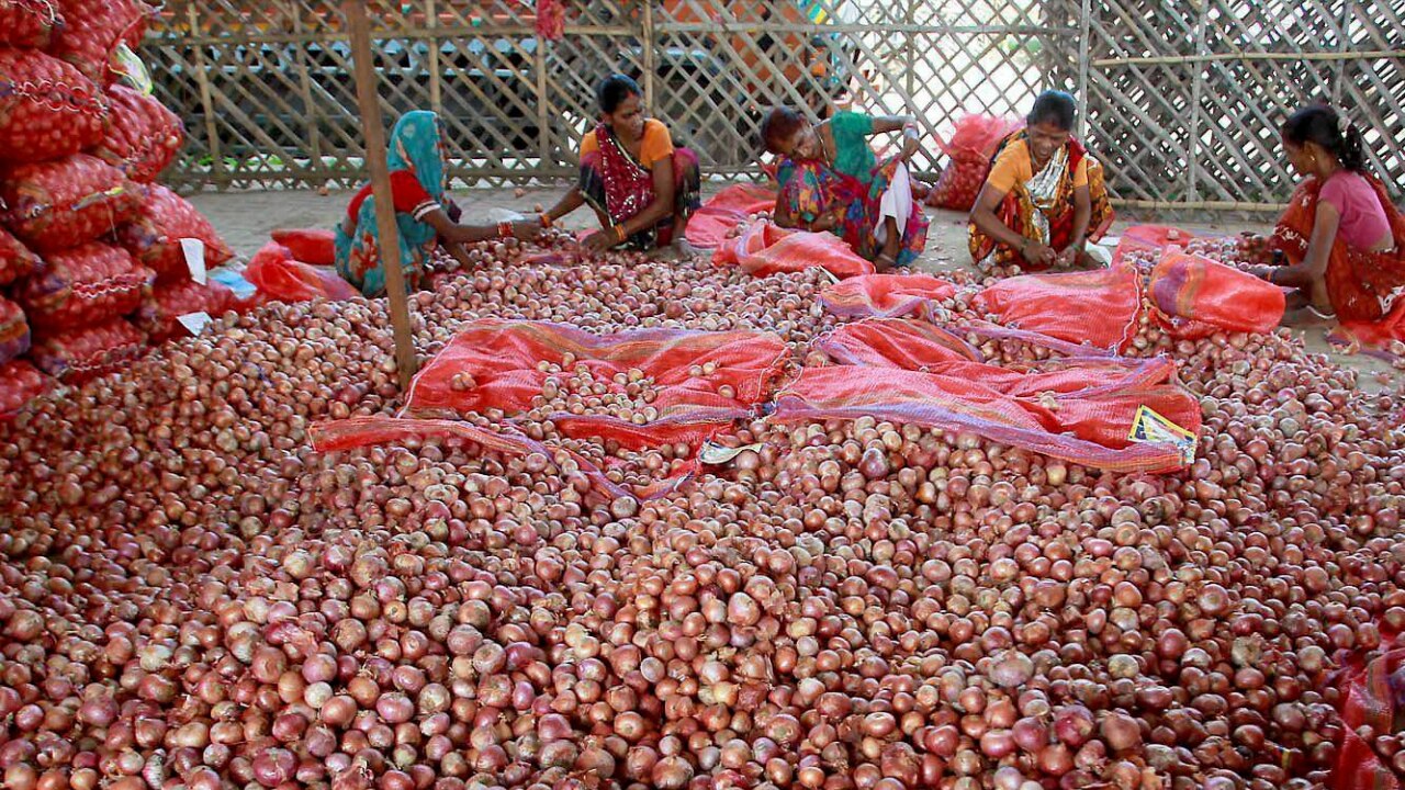 250 tonnes of imported onion reach India, prices may cool