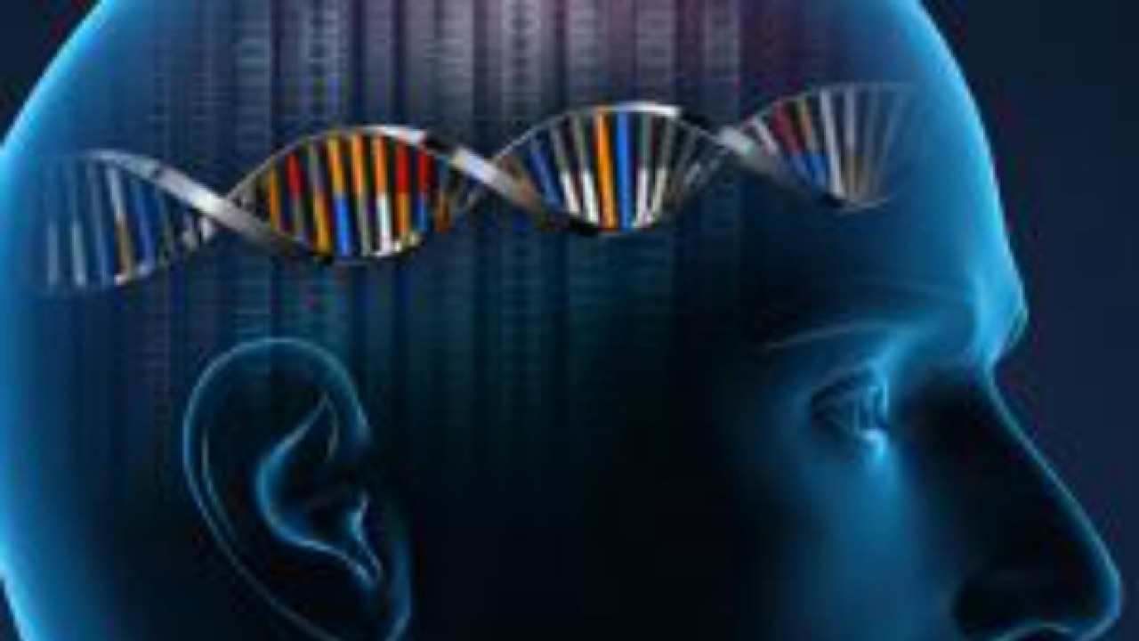 Researchers use gene-editing to make pig organ transplants safe for humans