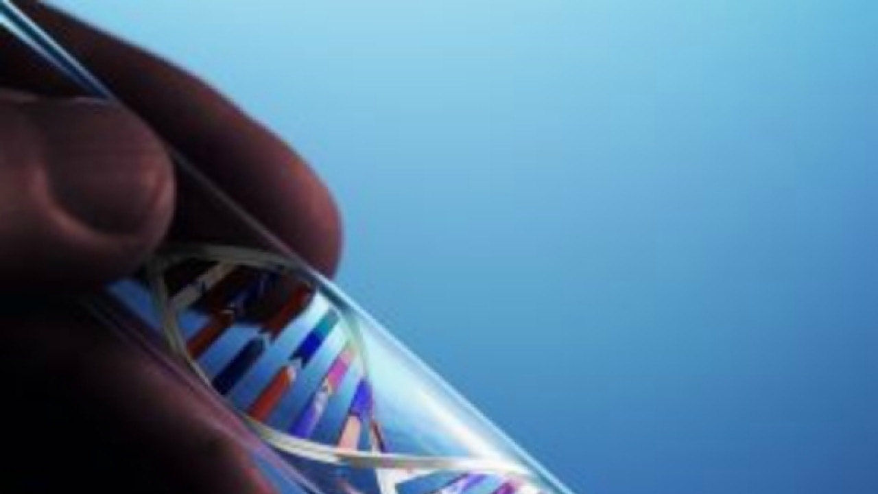 Designer cells reverse baby girl's cancer in world first