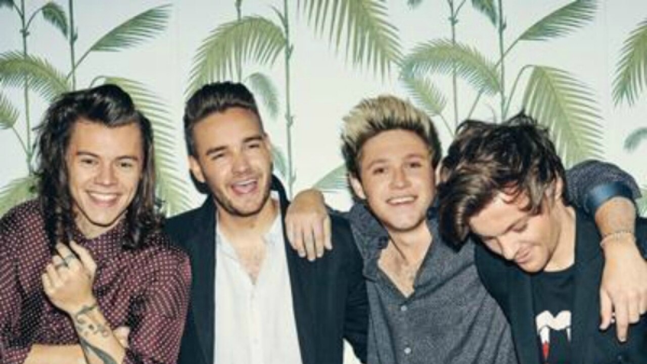 One Direction boys are the richest in the young Brit artists list!