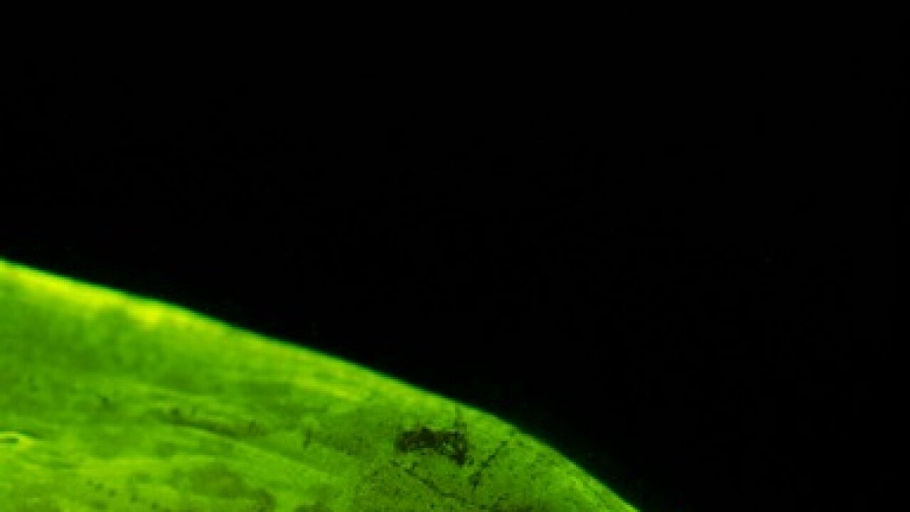 Check out mysterious glowing eel caught by divers