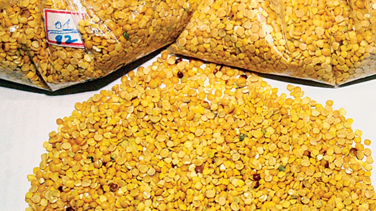 Maharashtra: Now, government to auction seized tur daal