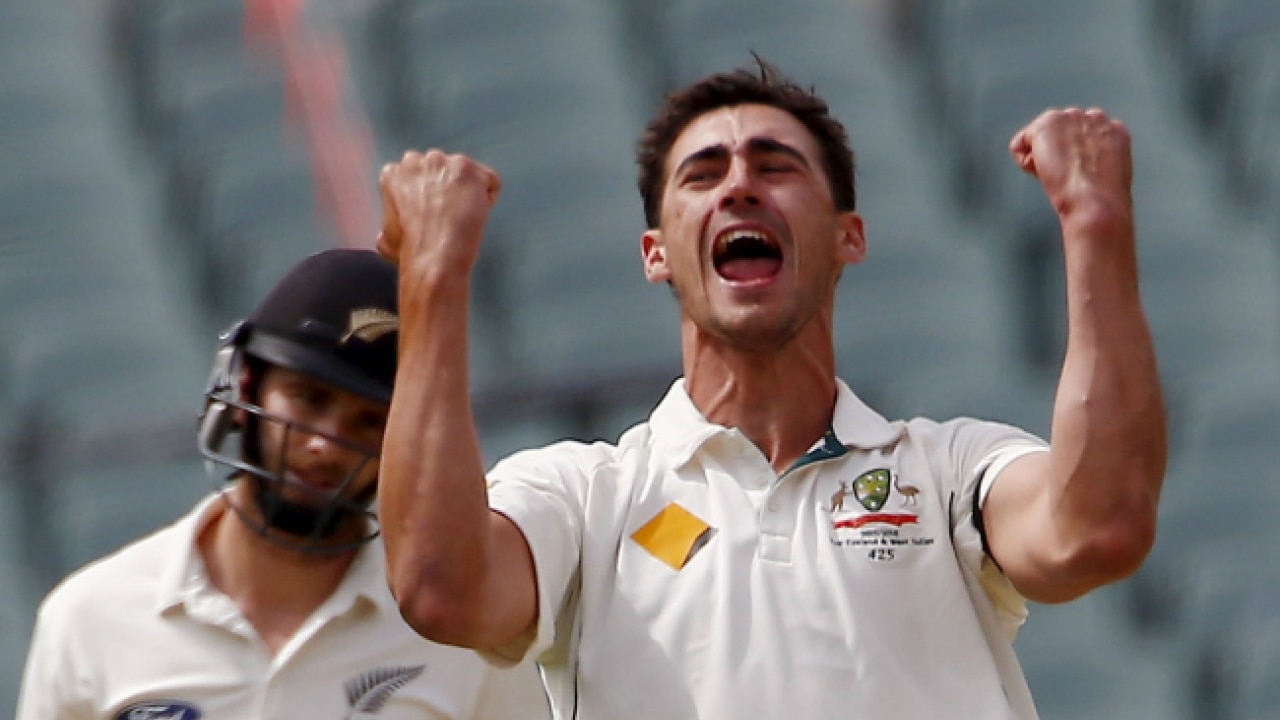 Australian bowlers enjoy limelight on day-night test's debut