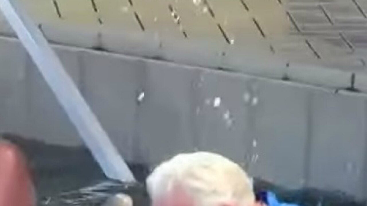 Watch: Man, dolphin have playful spitting fight