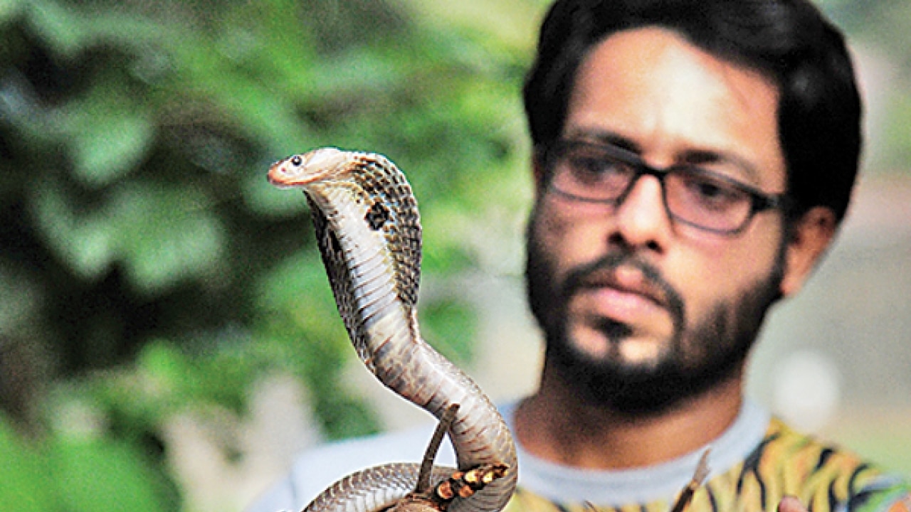 18 months post exam, Sarp Mitra yet to receive ID Cards