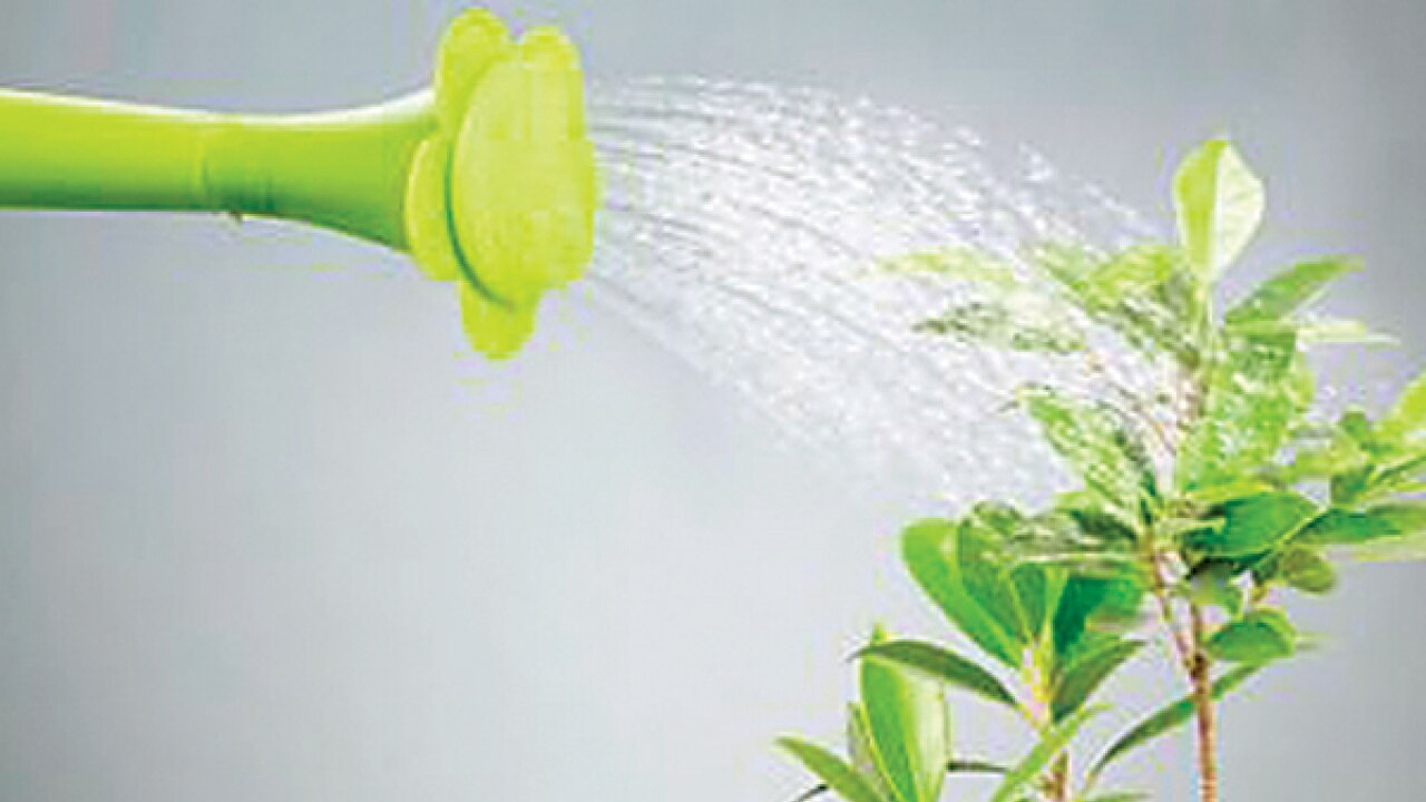 Here's how compounding interest can help grow your investments