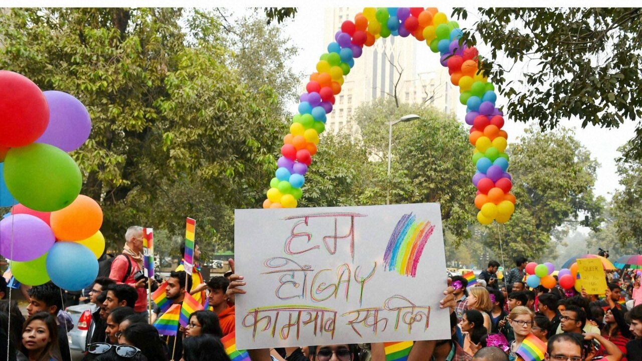In Pictures: Delhi marches to celebrate LGBT pride